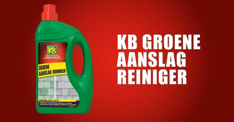 Groene aanslag verwijderen met Action reiniger